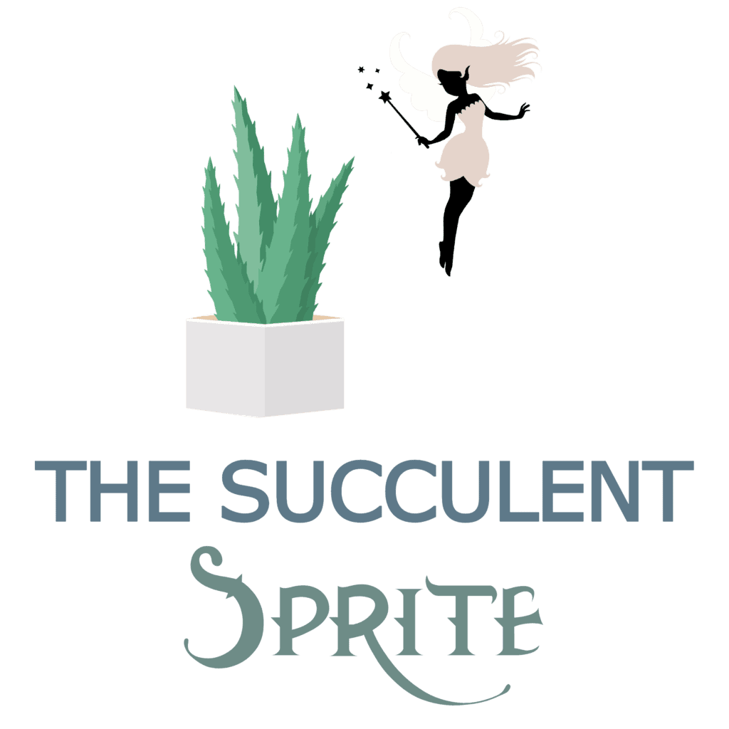 How to Propagate Succulents from Leaves, Stems, and Cuttings