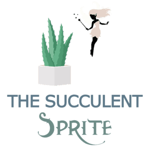 28 Inspiring Succulent Poems that Will Bloom in Your Heart