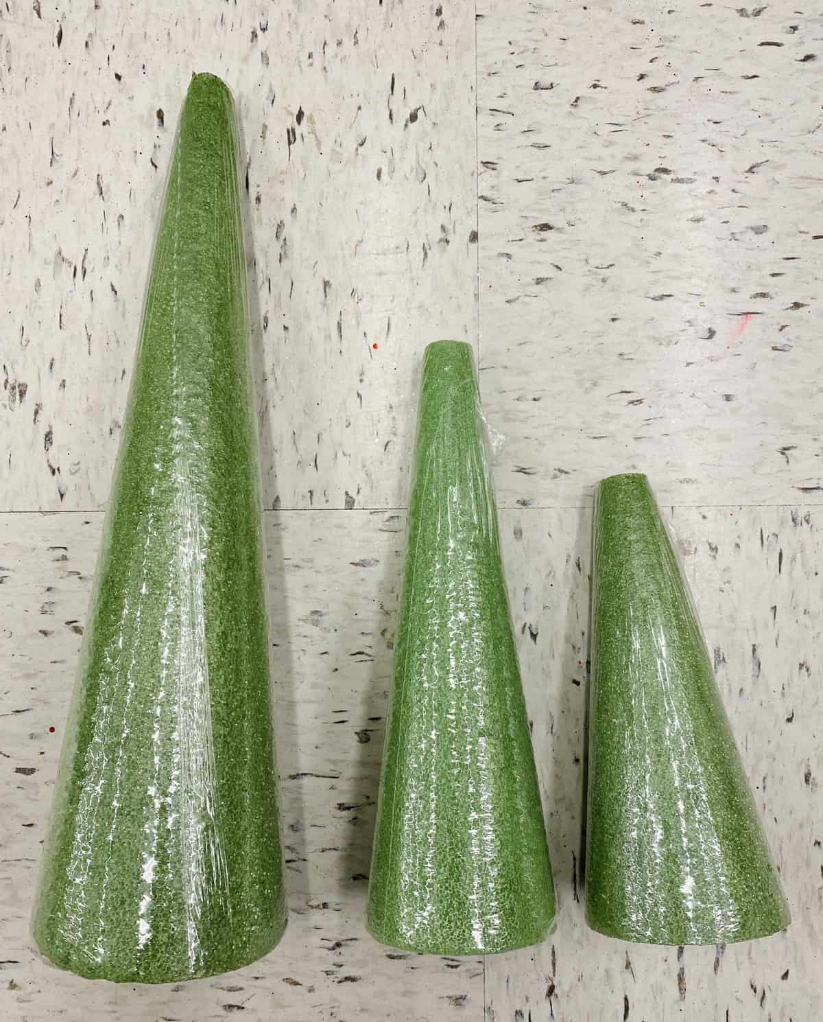 How to Make a Living Succulent Christmas Tree