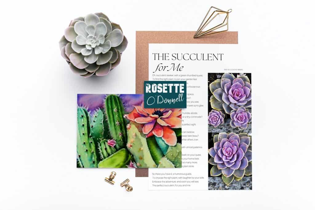 43 Creative Succulent Planter Ideas for Indoor or Outdoor