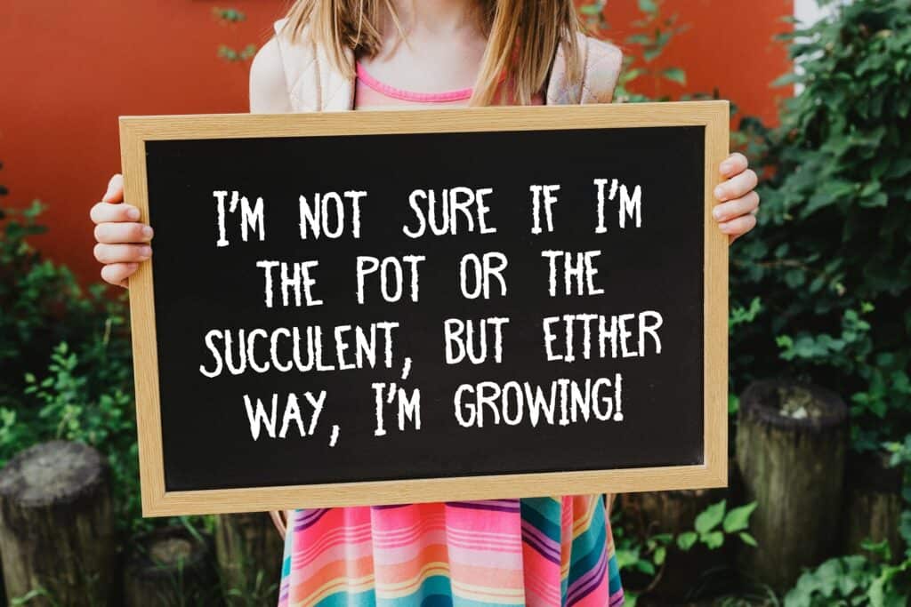 150 Plantastic Succulent Puns to Grow Your Humor